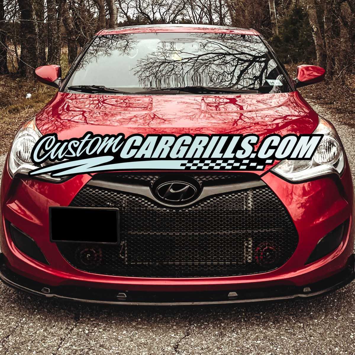 Custom Mesh Grills for 2012-17 Hyundai Veloster Non-Turbo by ...